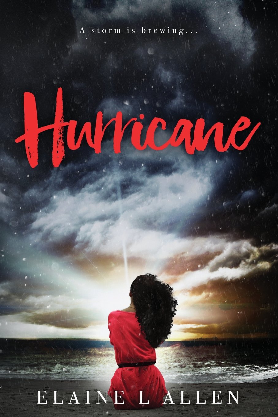 Hurricane: Allen, Elaine L: 9780692795378: Amazon.com: Books