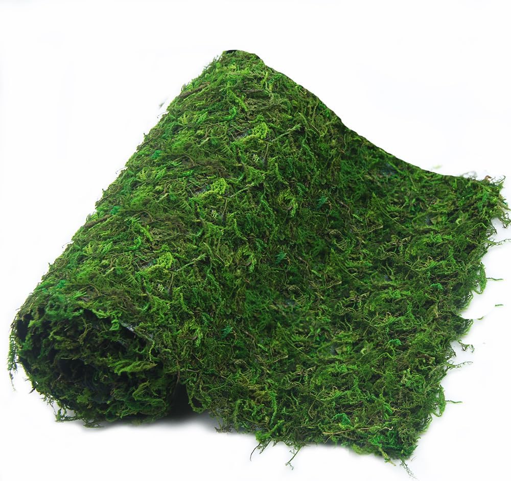 Amazon.com: Dried Moss Table Runner, Dried Moss for Crafts Green Moss ...