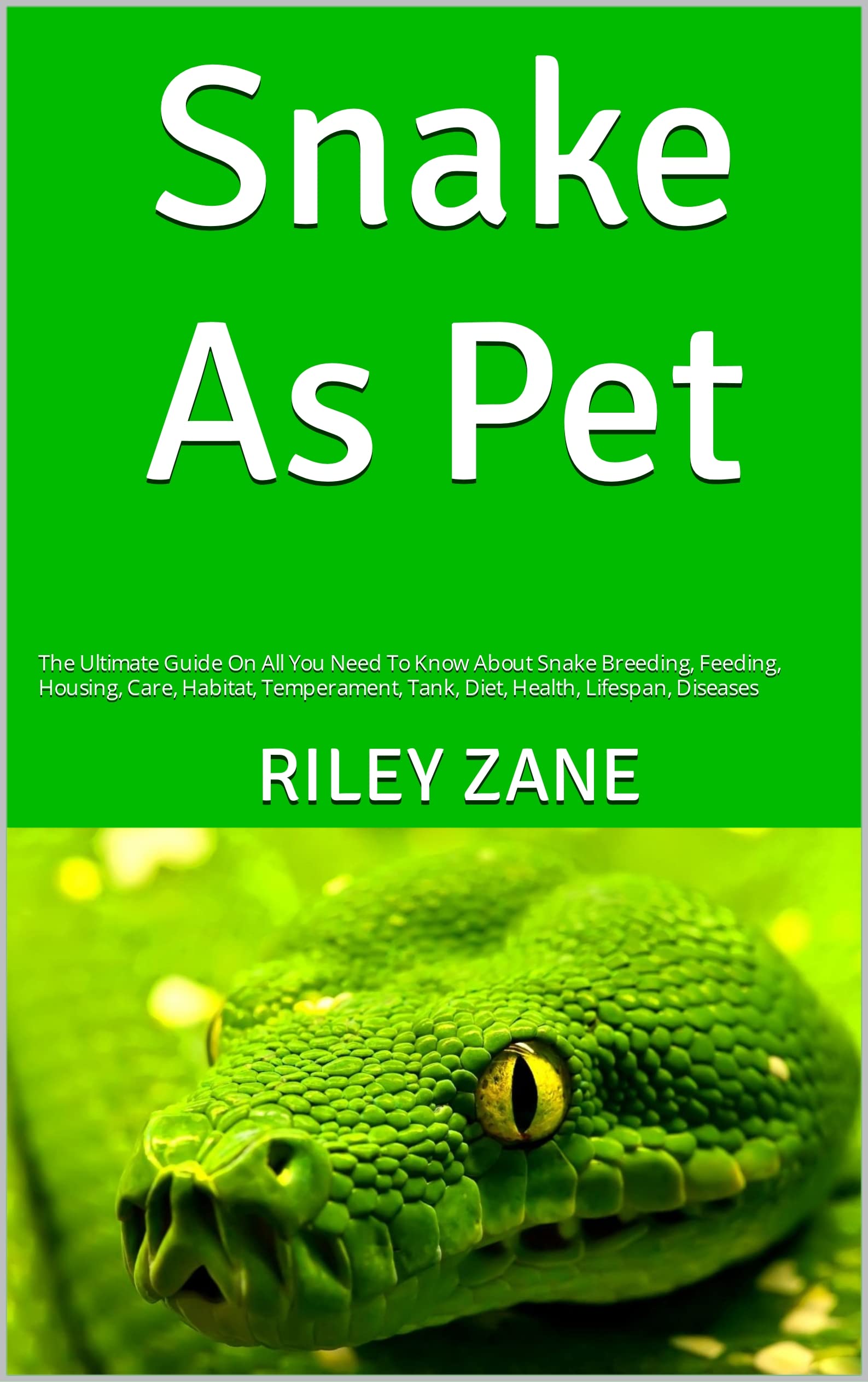Buy Snake As Pet : The Ultimate Guide On All You Need To Know About ...