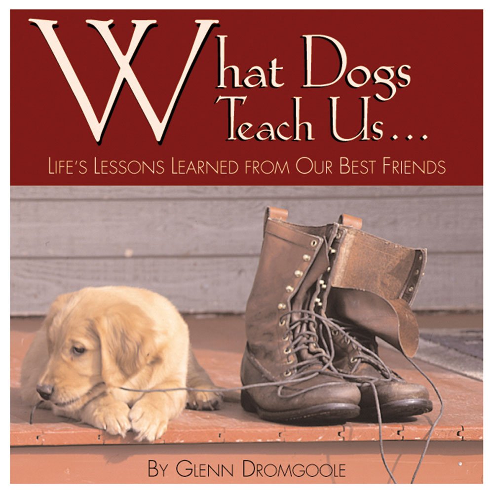 What Dogs Teach Us: Life's Lessons Learned from Our Best Friends ...