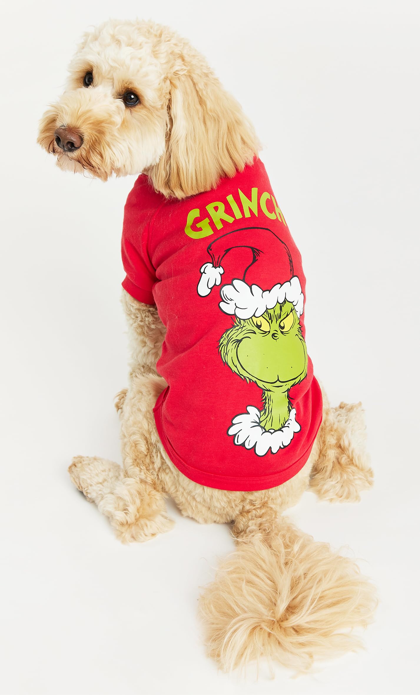 Grinch Hundekostyme