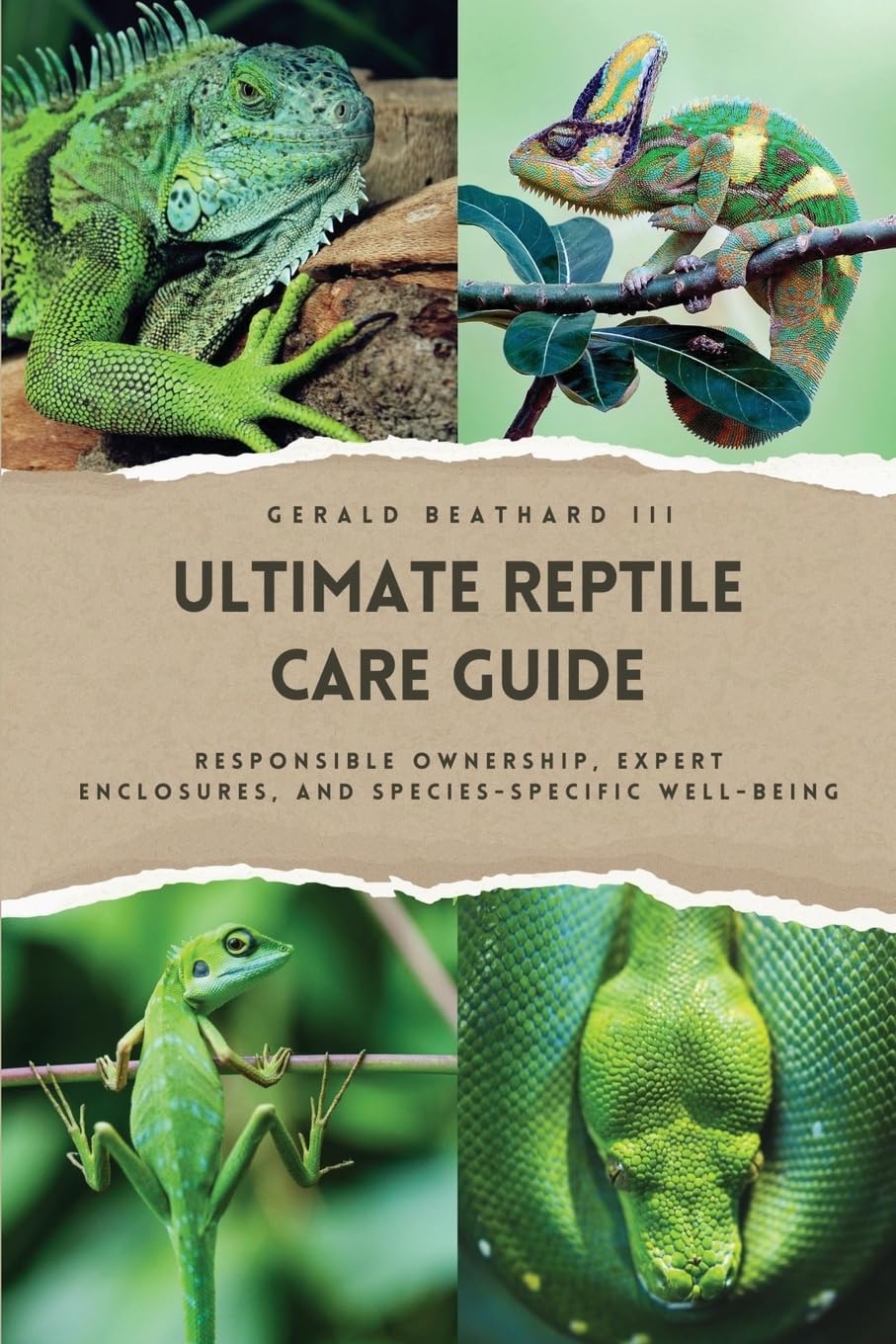 Buy The Ultimate Reptile Care Guide: Responsible Ownership, Expert ...