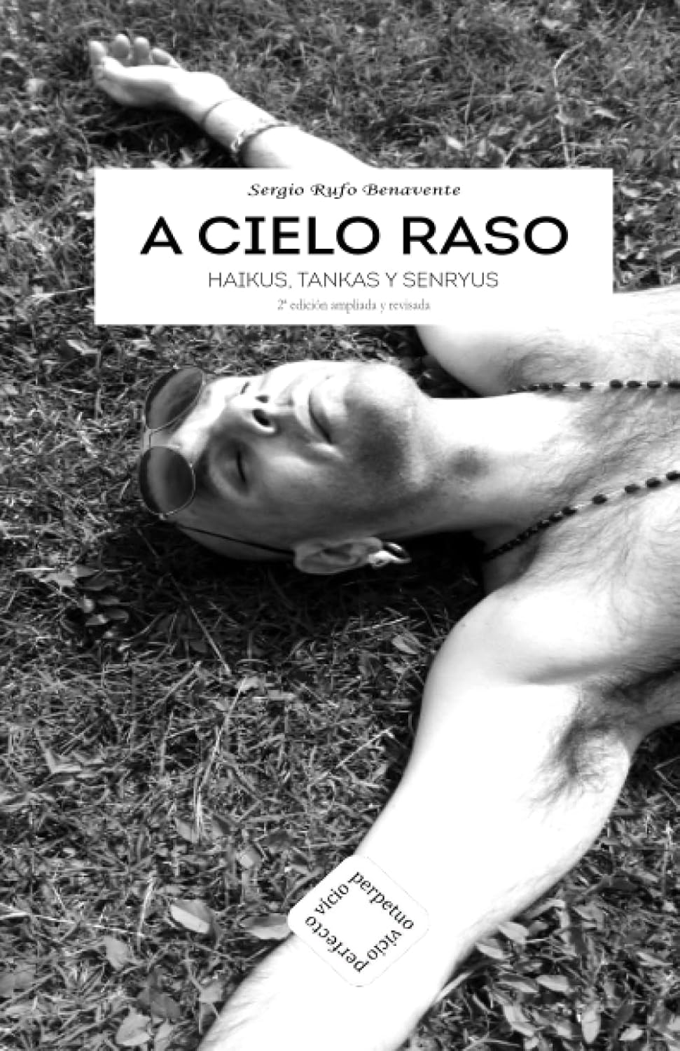 A cielo raso: Haikus, tankas y senryus (Spanish Edition): Rufo ...