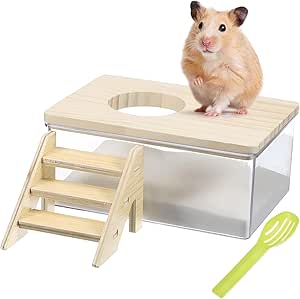 Amazon.com : Beaupretty 1 Set Hamster Sand Bath Container Bathroom Box ...