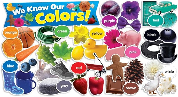 Amazon.com : Scholastic Teacher's Friend Colors in Photos Mini Bulletin ...