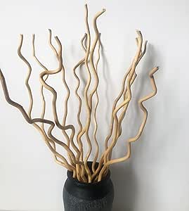 58 cm Dried Curly Willow Branches, 15 Stems Dried Twigs Wooden Sticks ...