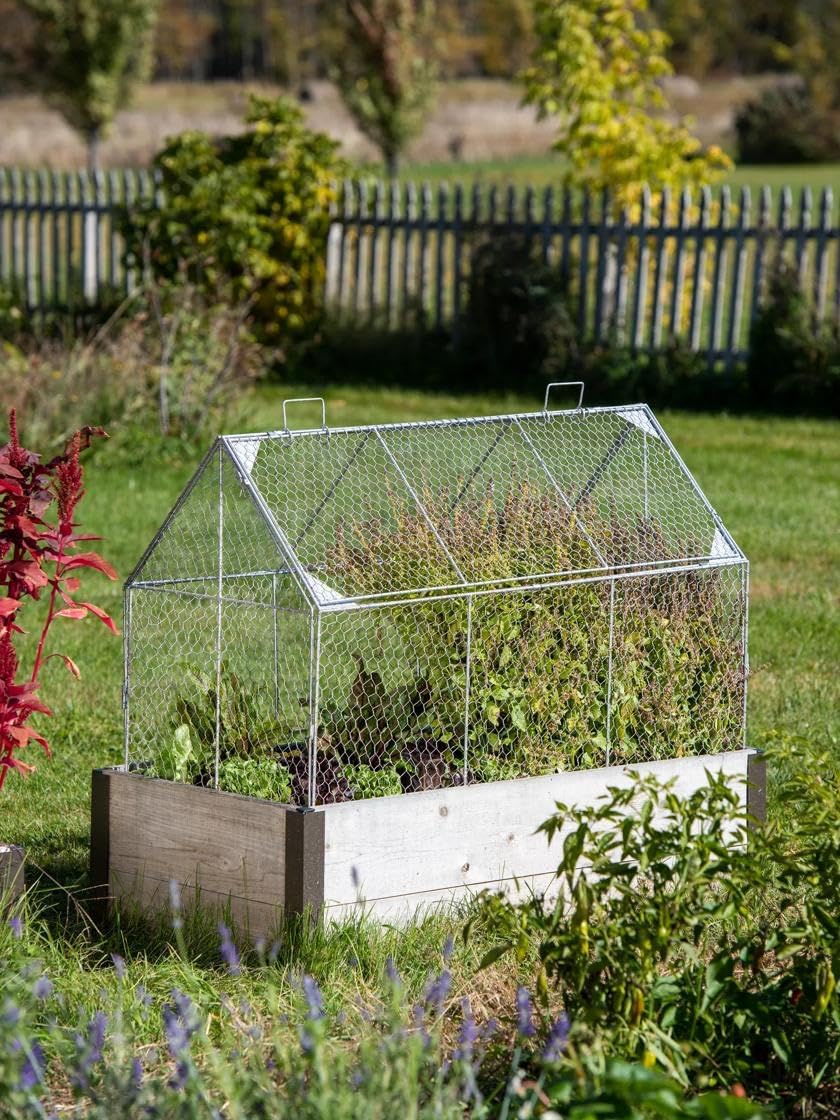 Amazon.com : Gardener’s Supply Company Chicken Wire Crop Coop ...