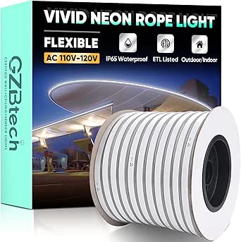 GZBtech Flexible LED Neon Rope Lights 98.4FT/30M, AC 110-120V ...
