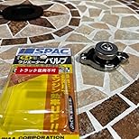 Amazon.co.jp: PIAA(ピア) ラジエターバルブ 88kPa レギュラータイプ シルバー SV53 : 車＆バイク