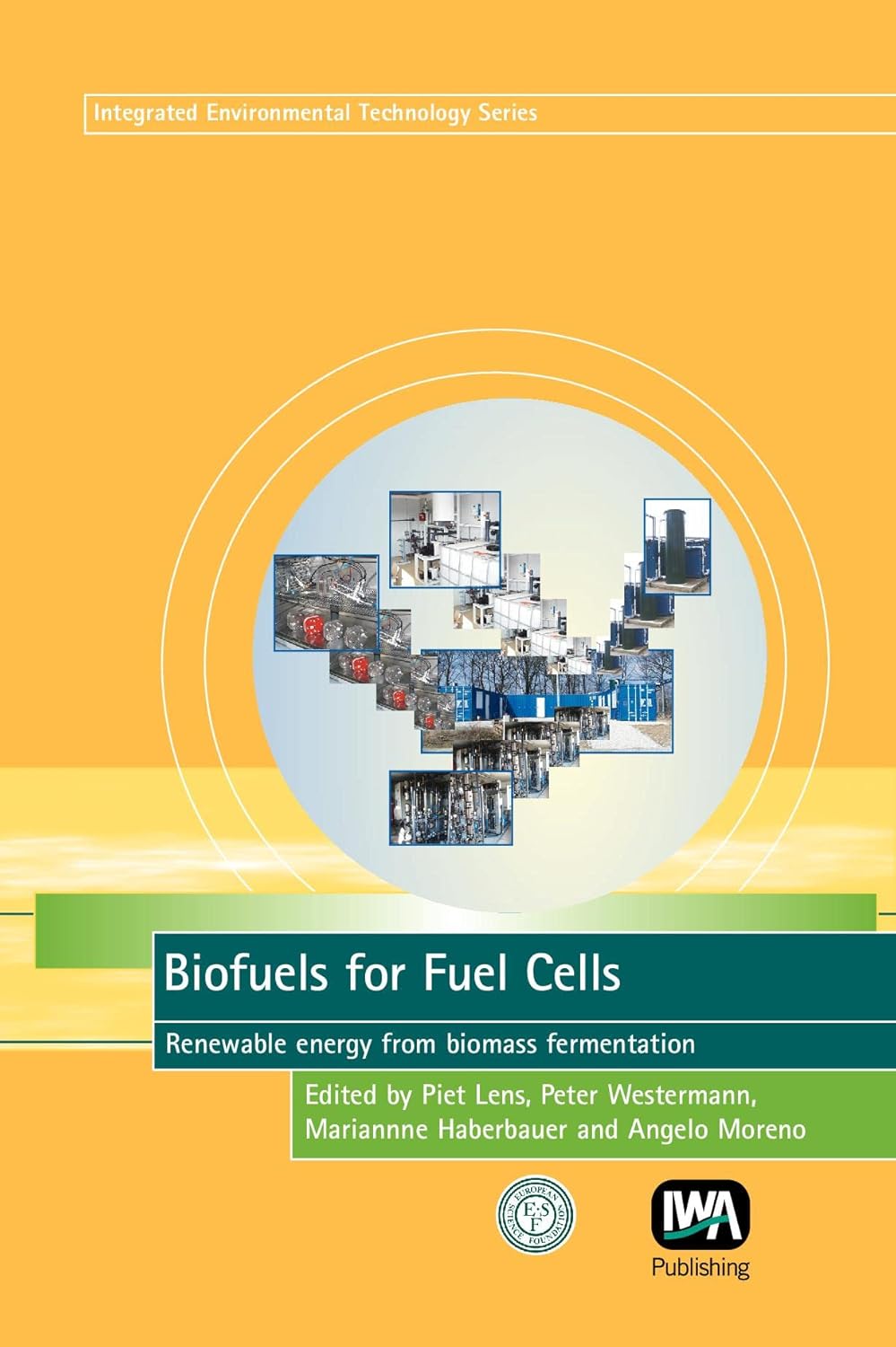Amazon | Biofuels for Fuel Cells: Renewable Energy from Biomass ...