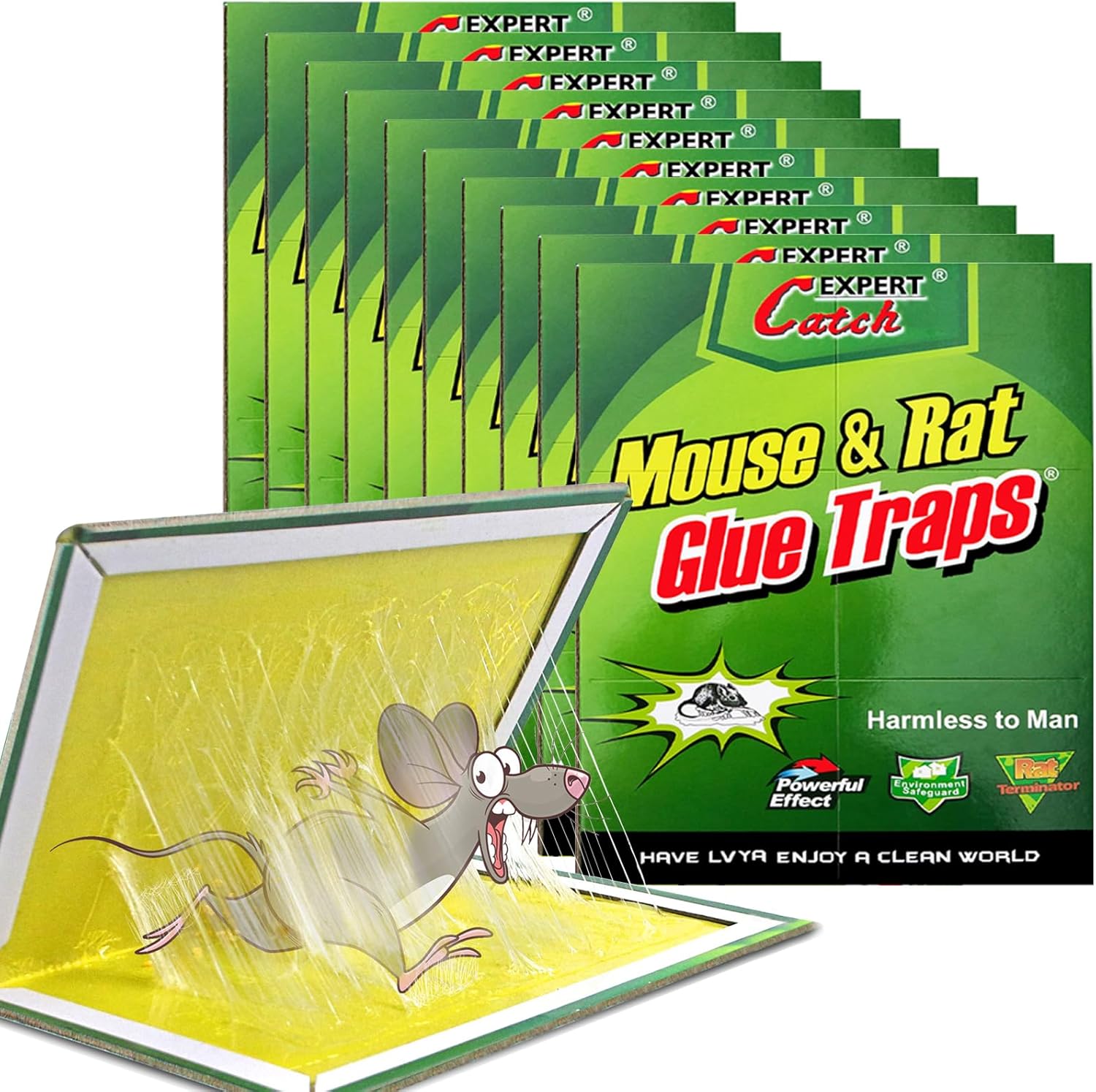 Amazon.com : 10 Pack Large Mouse Glue Traps with Enhanced Stickiness ...
