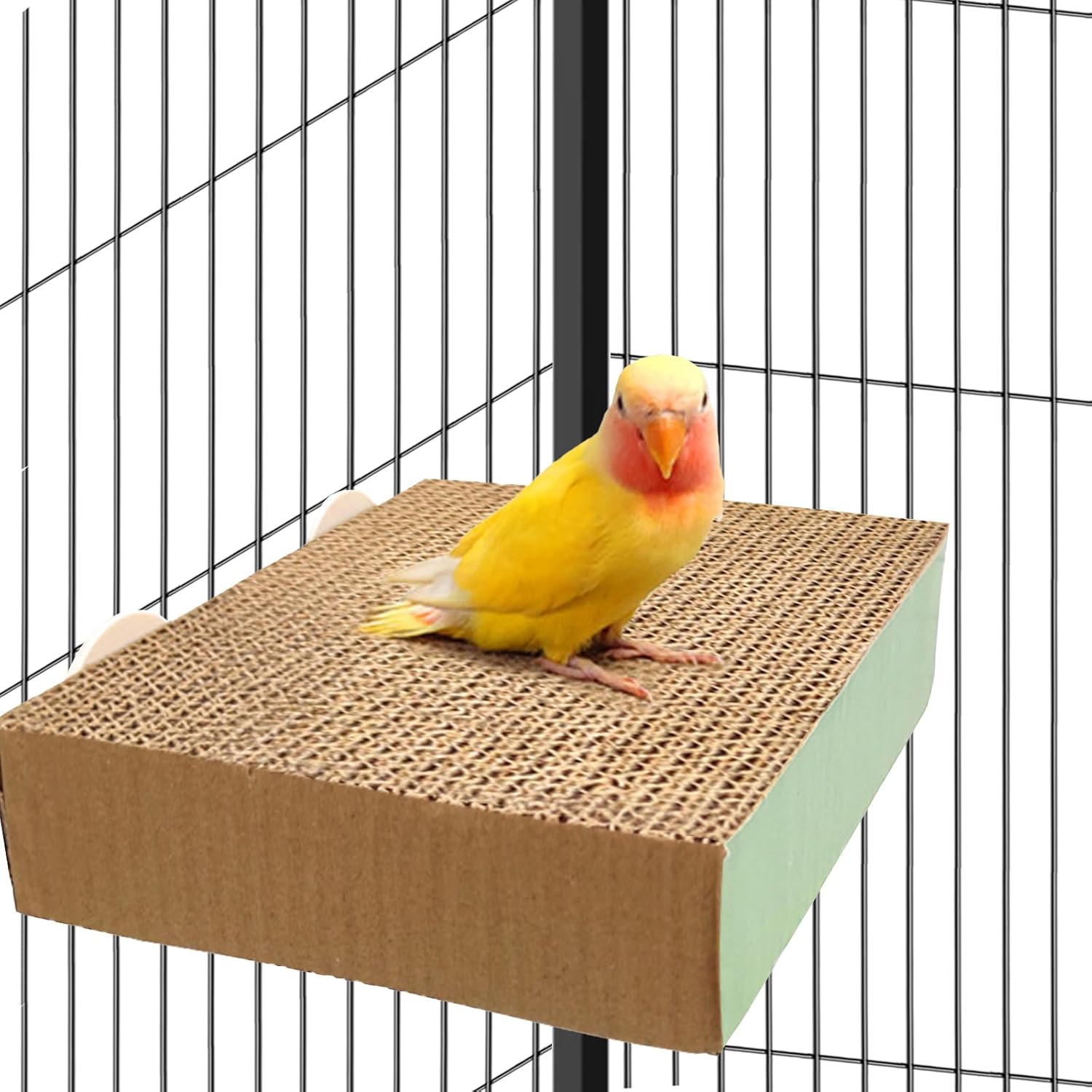 Amazon.com : HZAKXIN Bird Perch, Bird Toys, Cockatiel Perch Platform ...