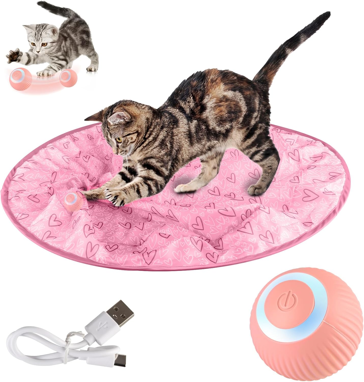 Amazon.com: Simulated Interactive Hunting Cat Toy, 2 in 1 Interactive ...