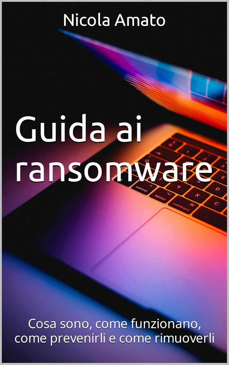 Amazon.com: Guida ai ransomware: Cosa sono, come funzionano, come ...