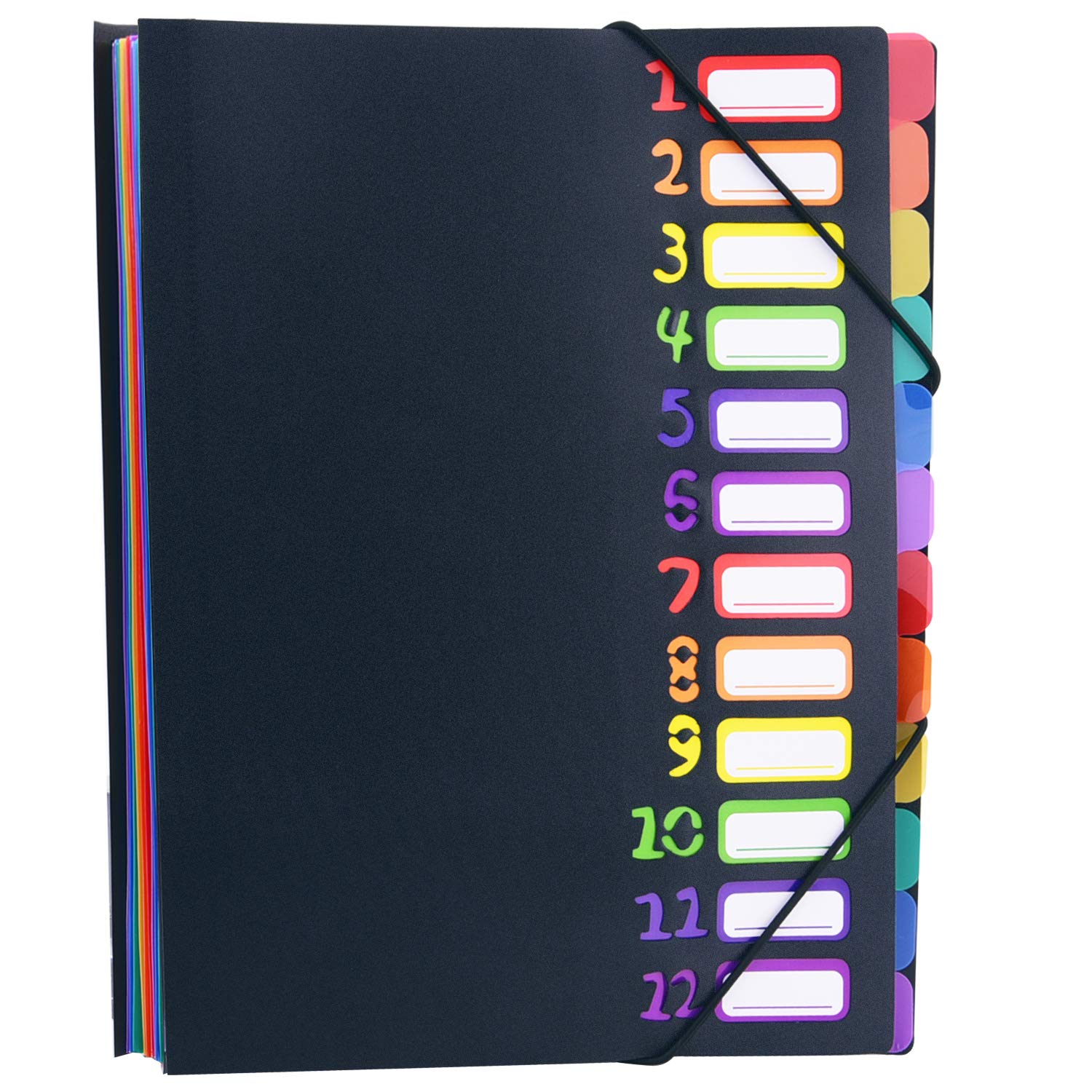 buy-livder-expanding-file-folders-12-pocket-letter-a4-paper-project