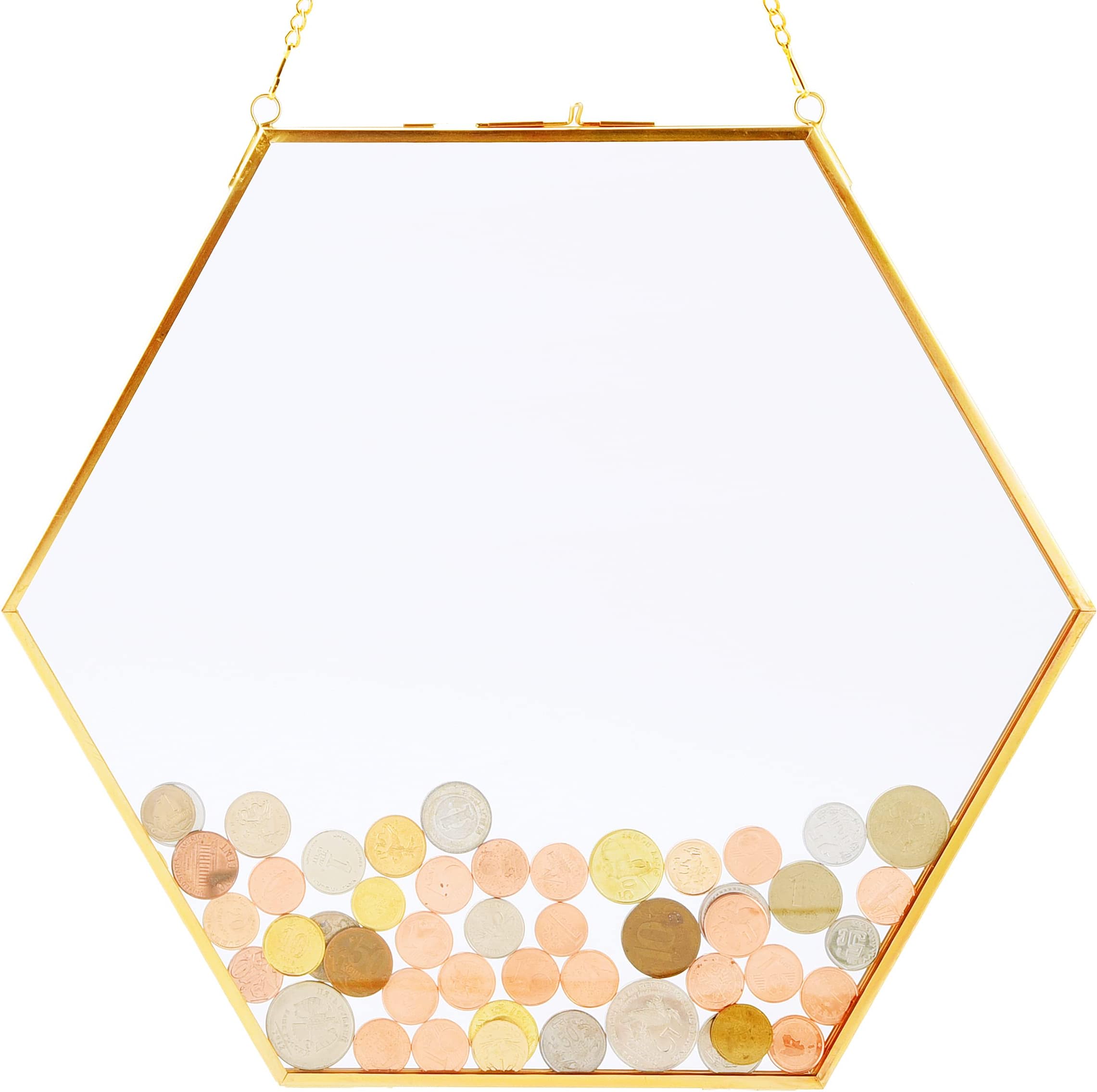 Amazon.com: Gold Glass Frame for Coin Display, Coins Display Stands ...