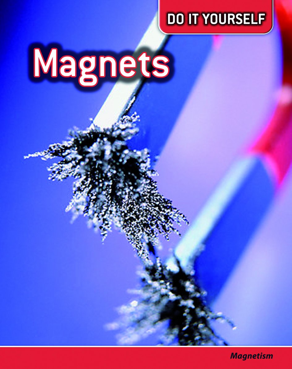 Magnets: Magnetism (Do It Yourself): Lynette, Rachel: 9781432910976 ...