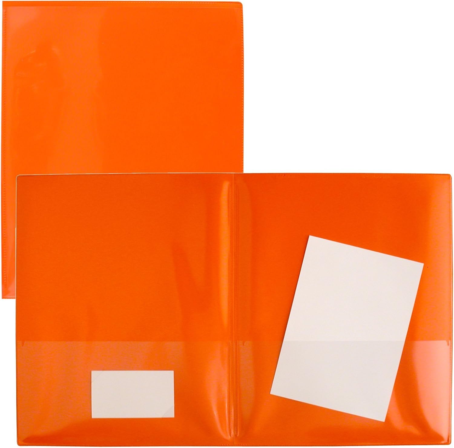 Amazon.com : StoreSMART® Orange Plastic Archival Folders 30-Pack ...