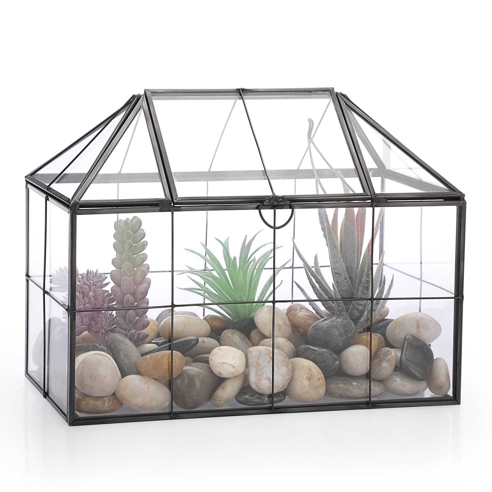 SUMTree Black Glass Plant Terrarium with Square Grid, Garden Moss ...