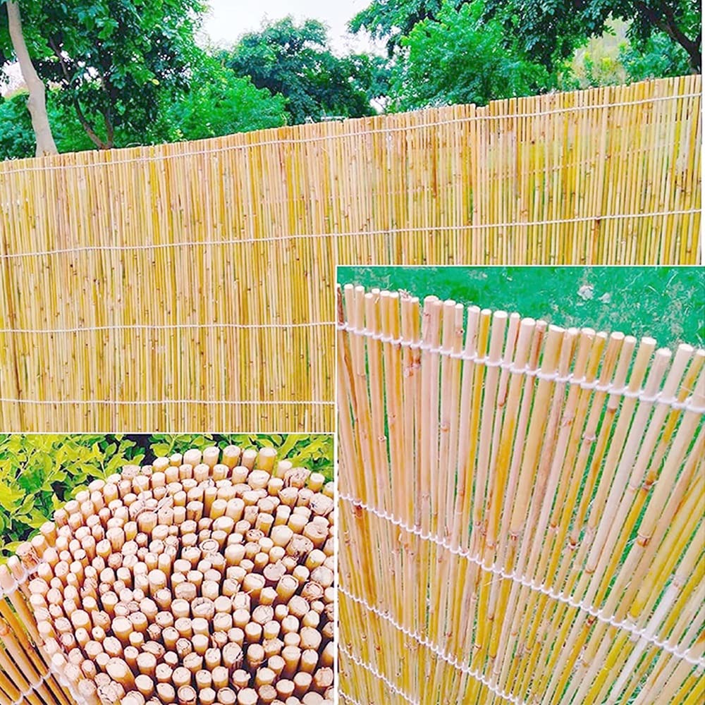 Asian Bamboo Fence Japanese Garden Design Exclusive Premium Design