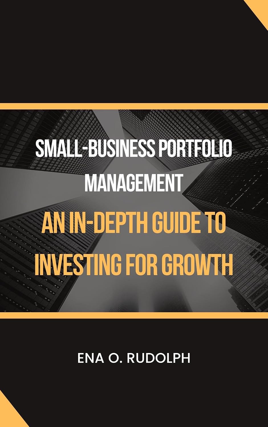 Amazon.com: Small-Business Portfolio Management: An In-Depth Guide to ...
