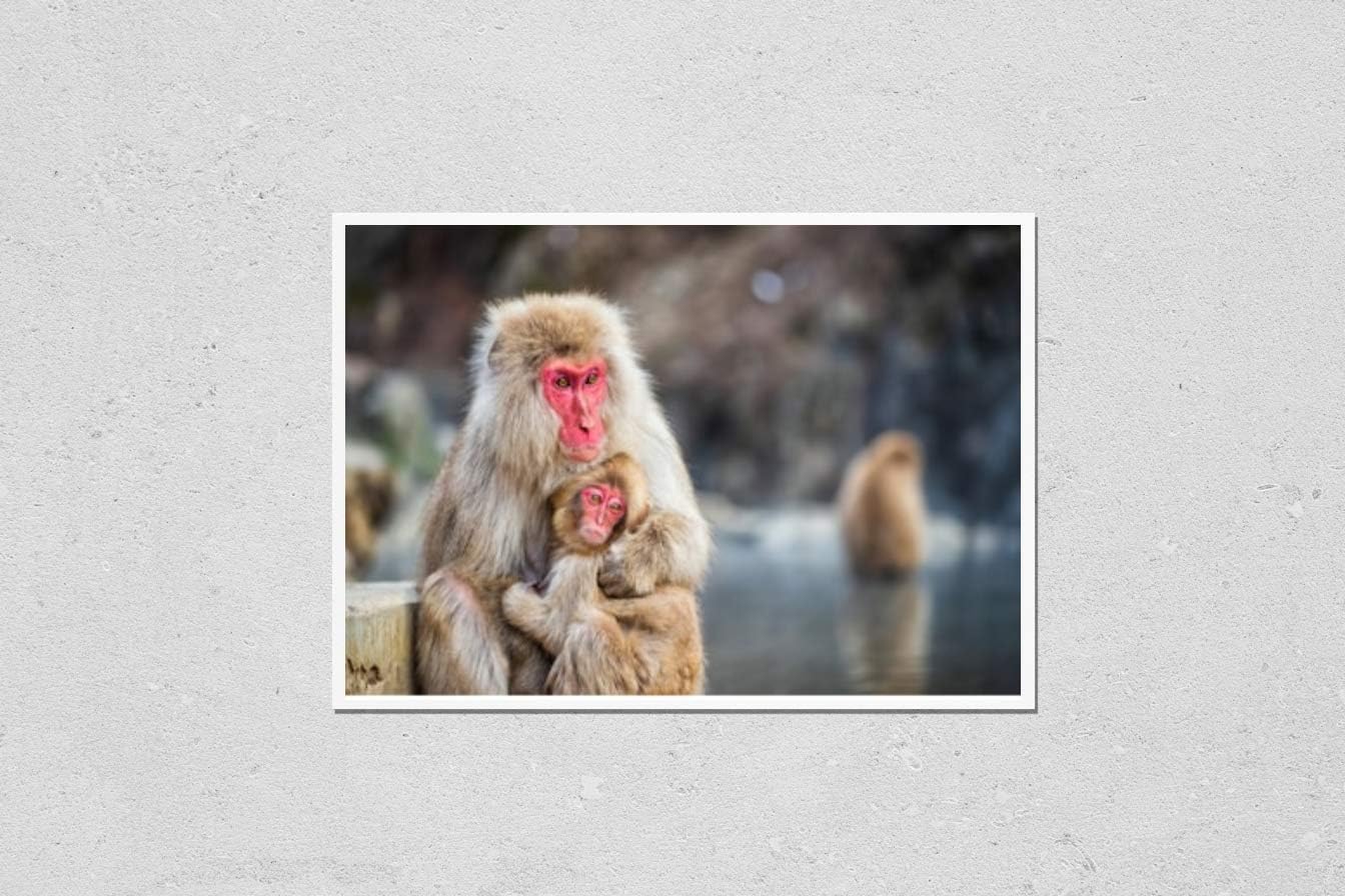 Amazon.com: Wall Art Poster Print of Japanese Snow Monkey Macaque ...