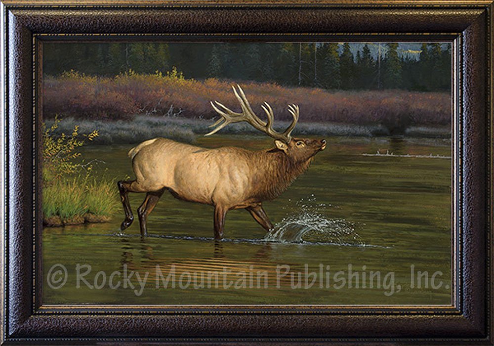 Wildlife Art Elk
