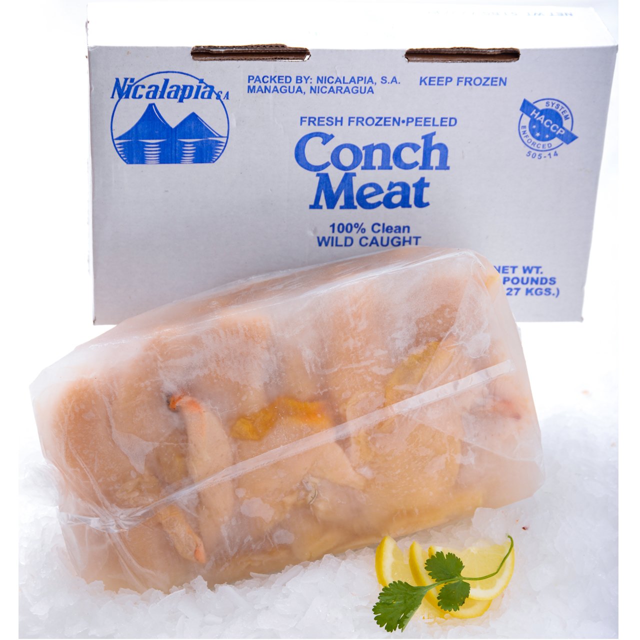Amazon.com: Conch Meat Cleaned & Filleted 5 LB Wild Caught