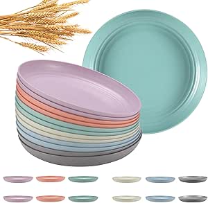 Amazon.com | HEYCOME 12 Pcs Unbreakable Deep Dinner Plates Set, 10 inch ...