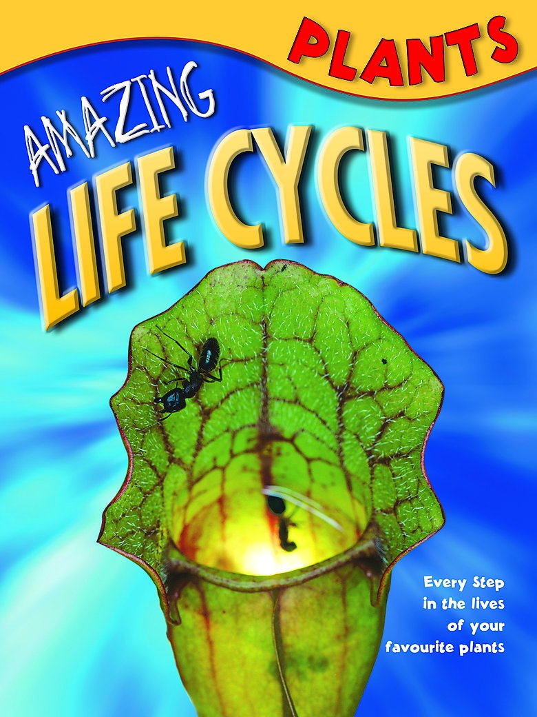 Amazing Life Cycles: Plants: Amazon.co.uk: 9781848989443: Books