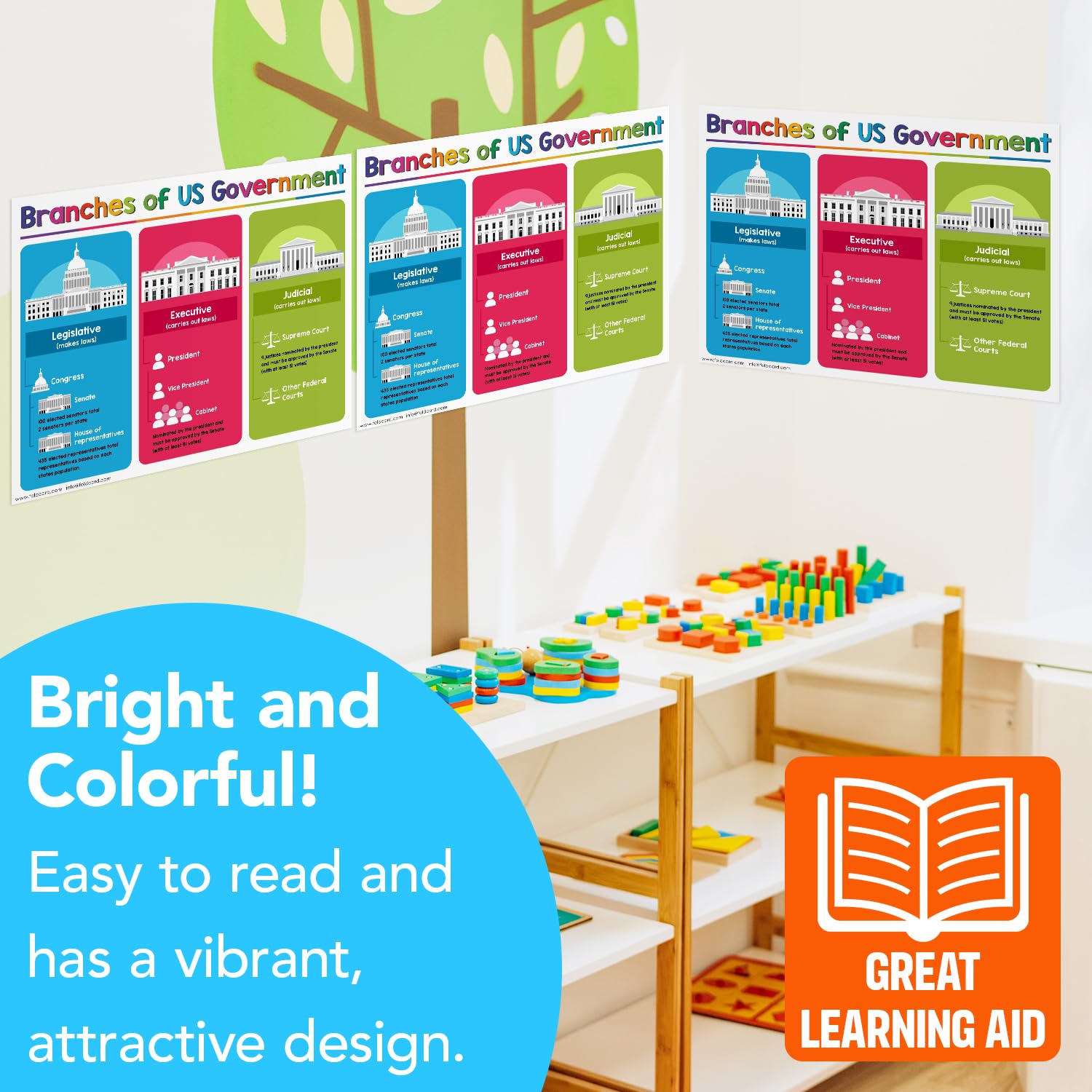Snapklik.com : Branches Of The US Government Educational Posters For ...
