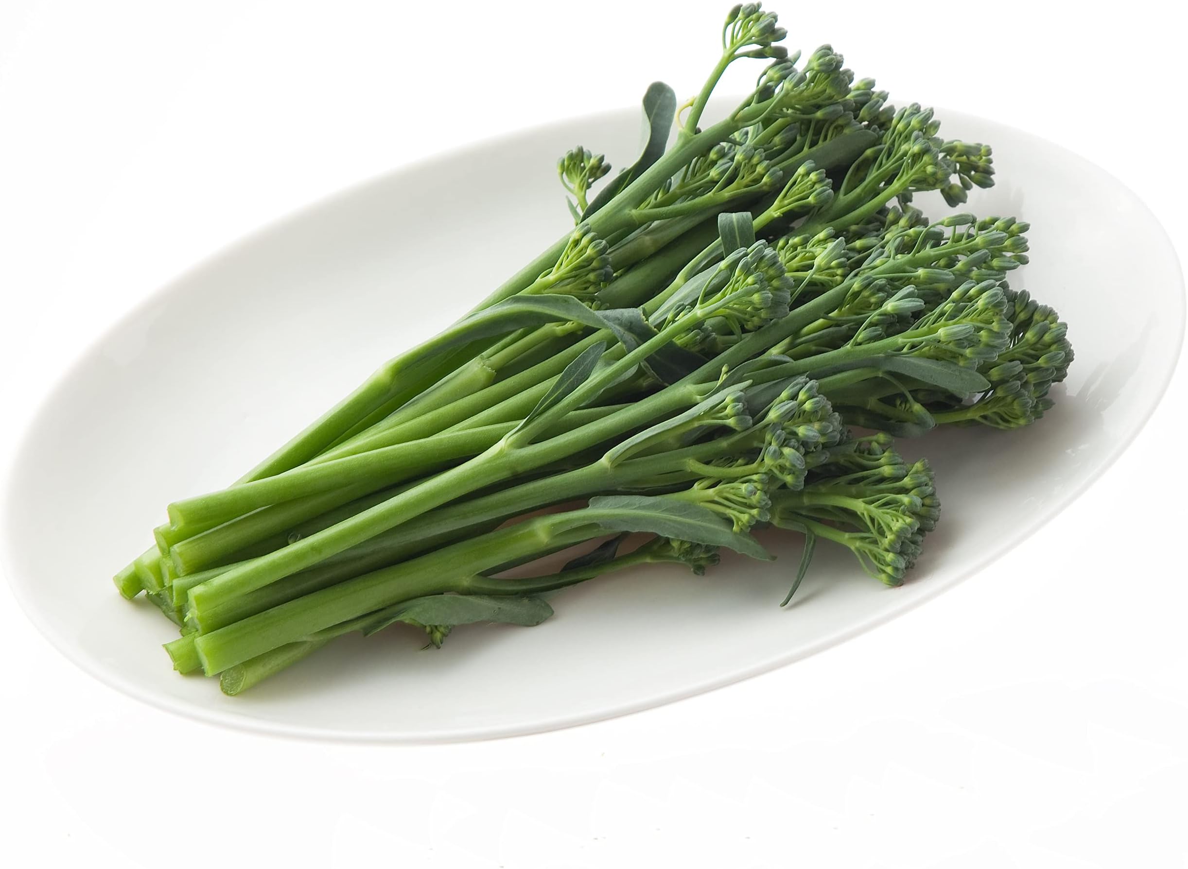 Vegetable Plants - Purple Sprouting Broccoli - 12 x Full Plant Pack ...