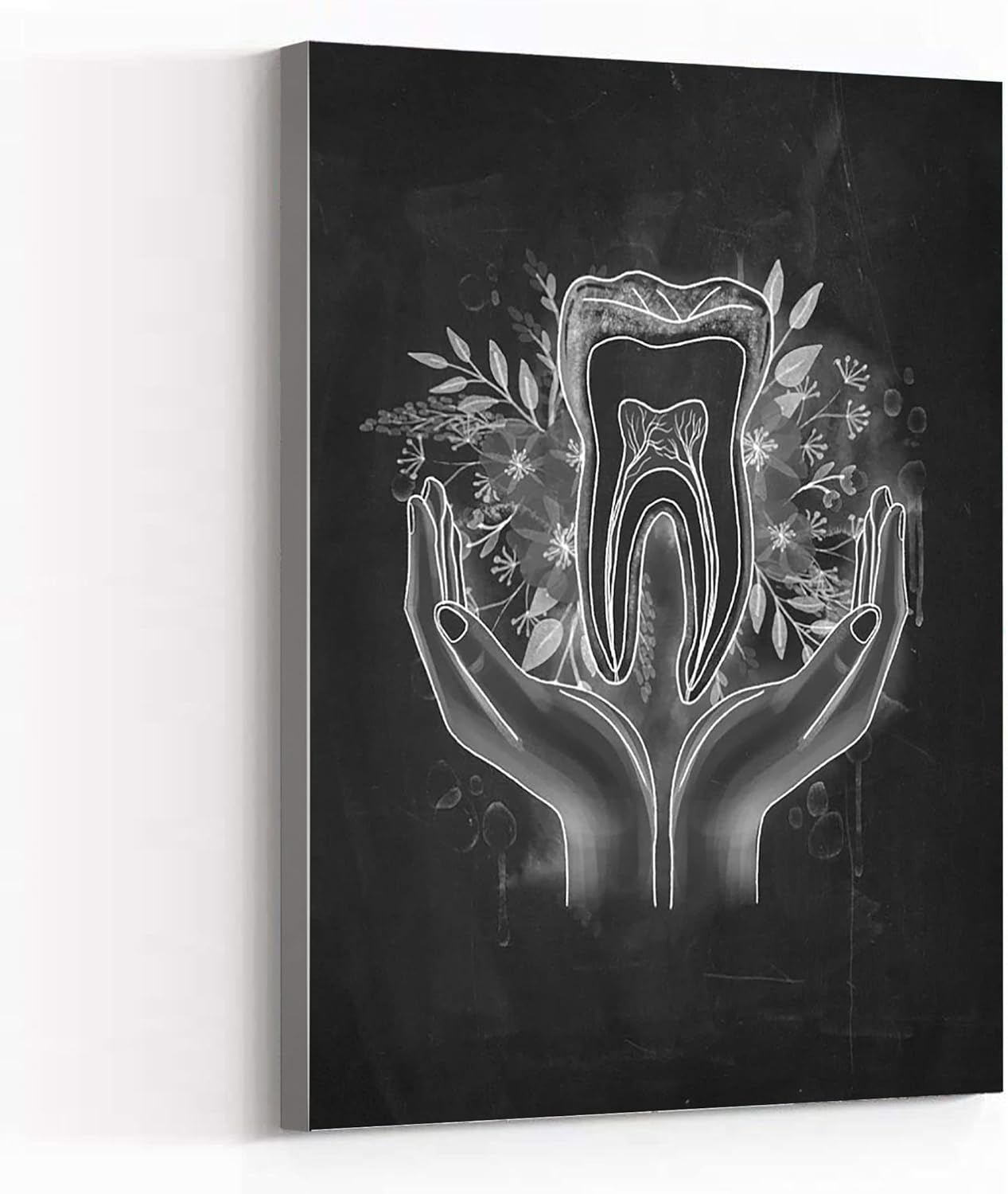 Amazon.com: optometry decor,academia posters vintage,Dental Anatomy ...