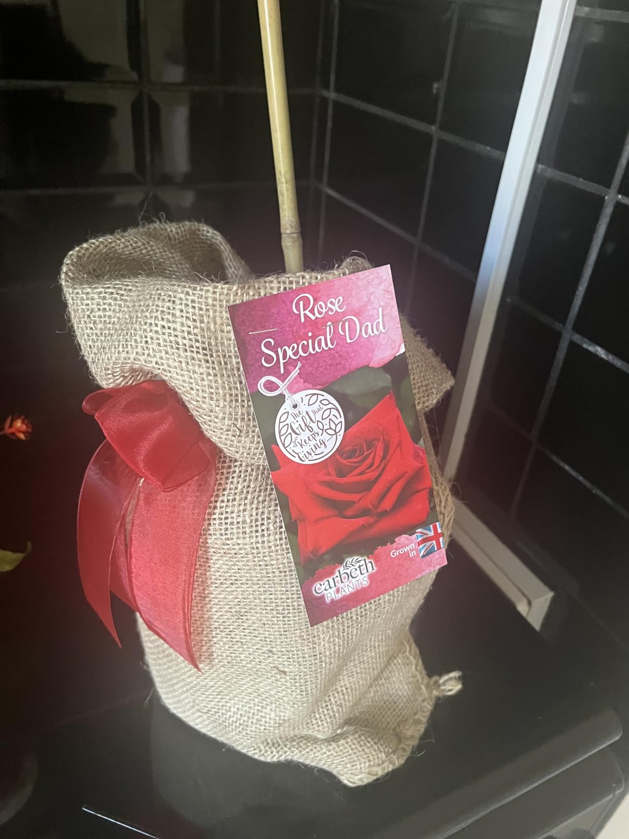 Special Dad Rose - Gift Wrapped with Huge Bow - Fantastic Wrapped Rose ...