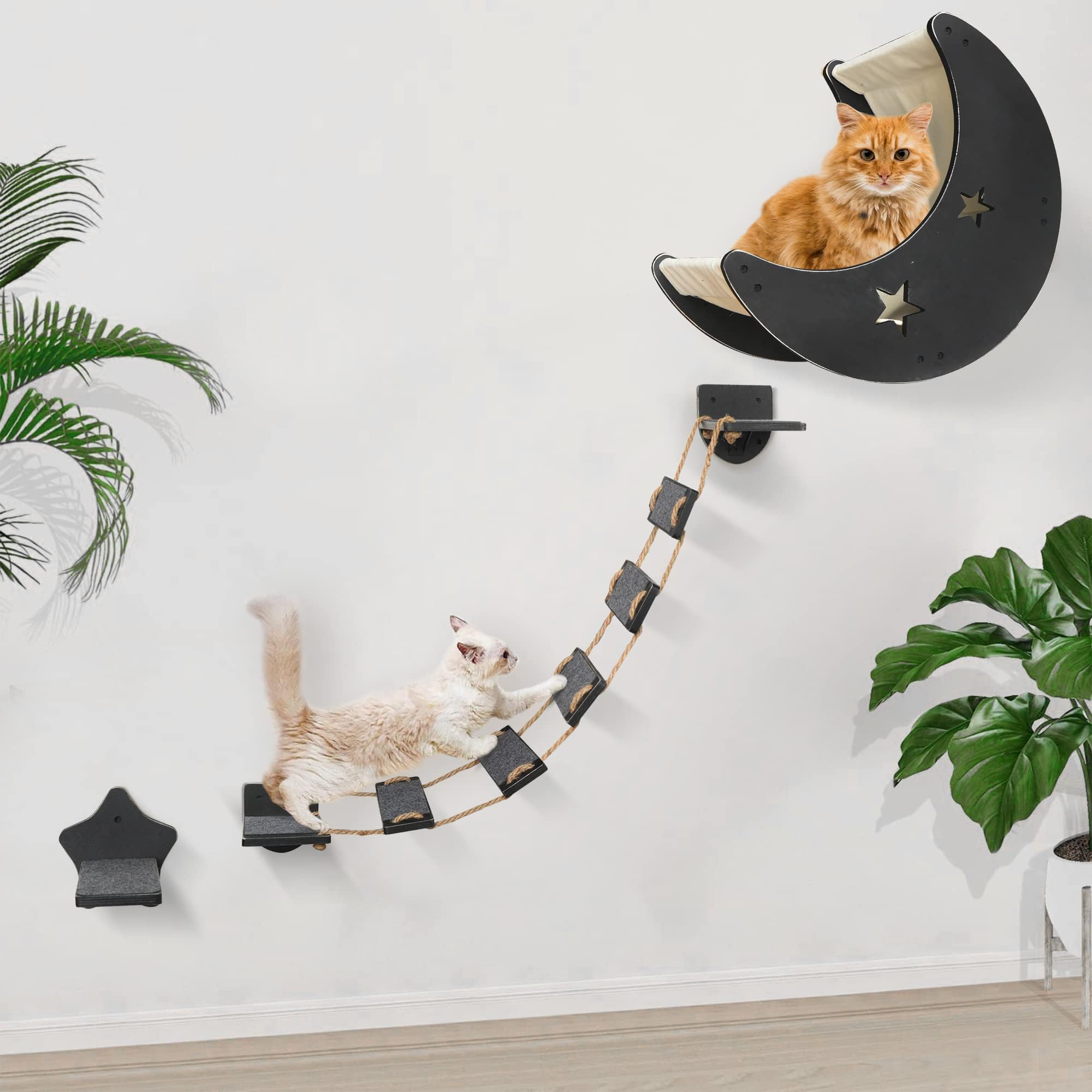Amazon.com : TIMIEEYA Cat Wall Shelves - Set of 6 Cat Wall Furniture ...