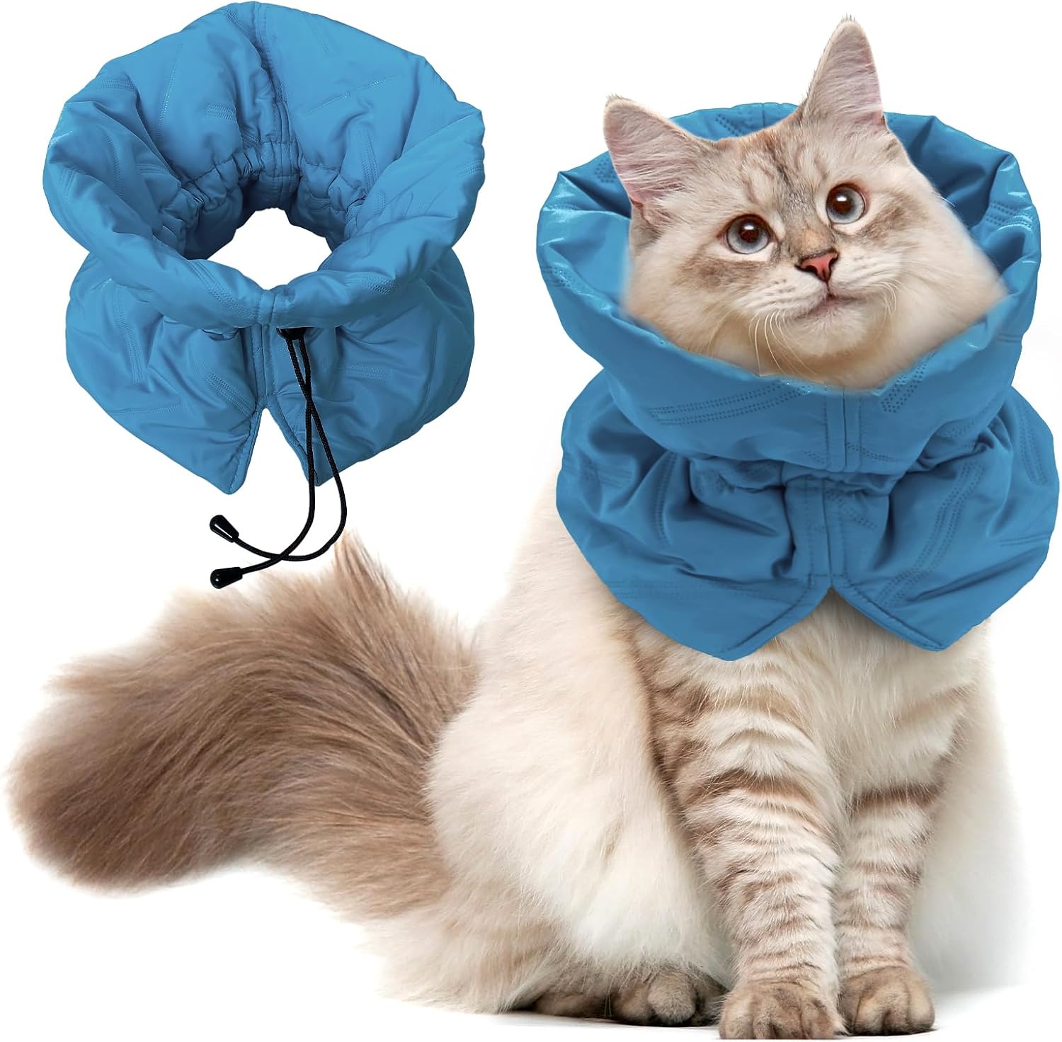 Amazon.com : Cat Recovery Collar, Soft Adjustable Cat Cone Alternative ...