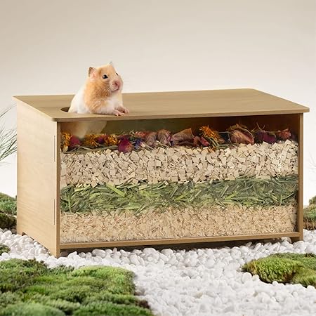 Amazon.com : MEWOOFUN Hamster Sand Bath Shower Room & Digging Sand ...