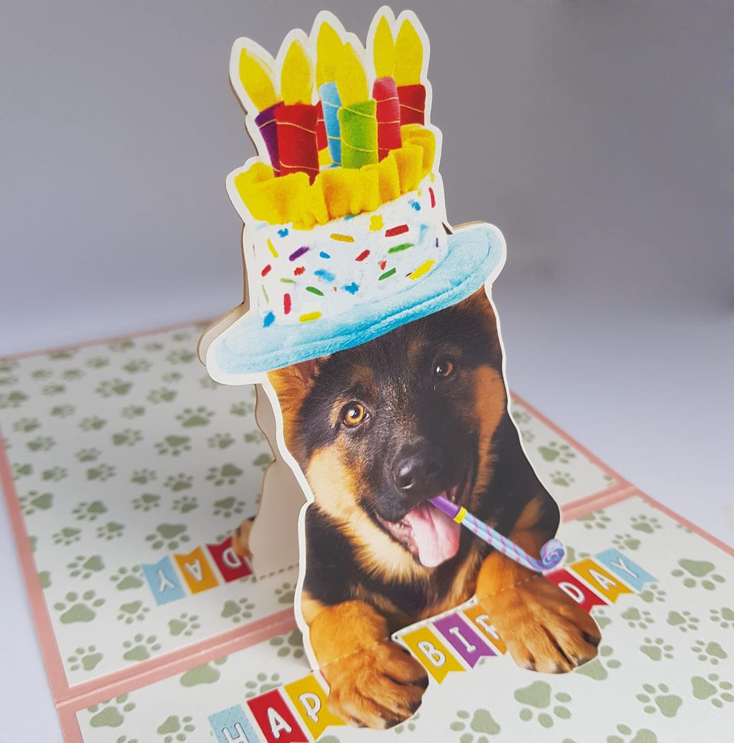 Crazytops Tarjetas desplegables divertidas de cumpleaños de perro ...