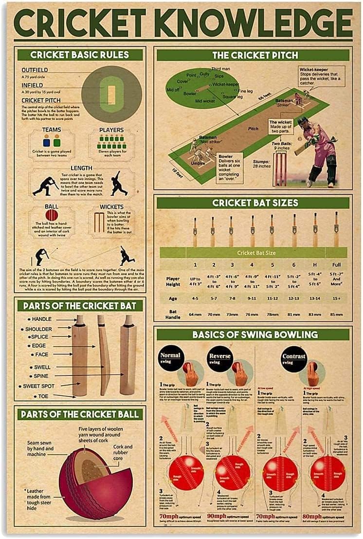 Cricket Knowledge Posters Metal Signs Aluminium Poster Cricket Basic ...