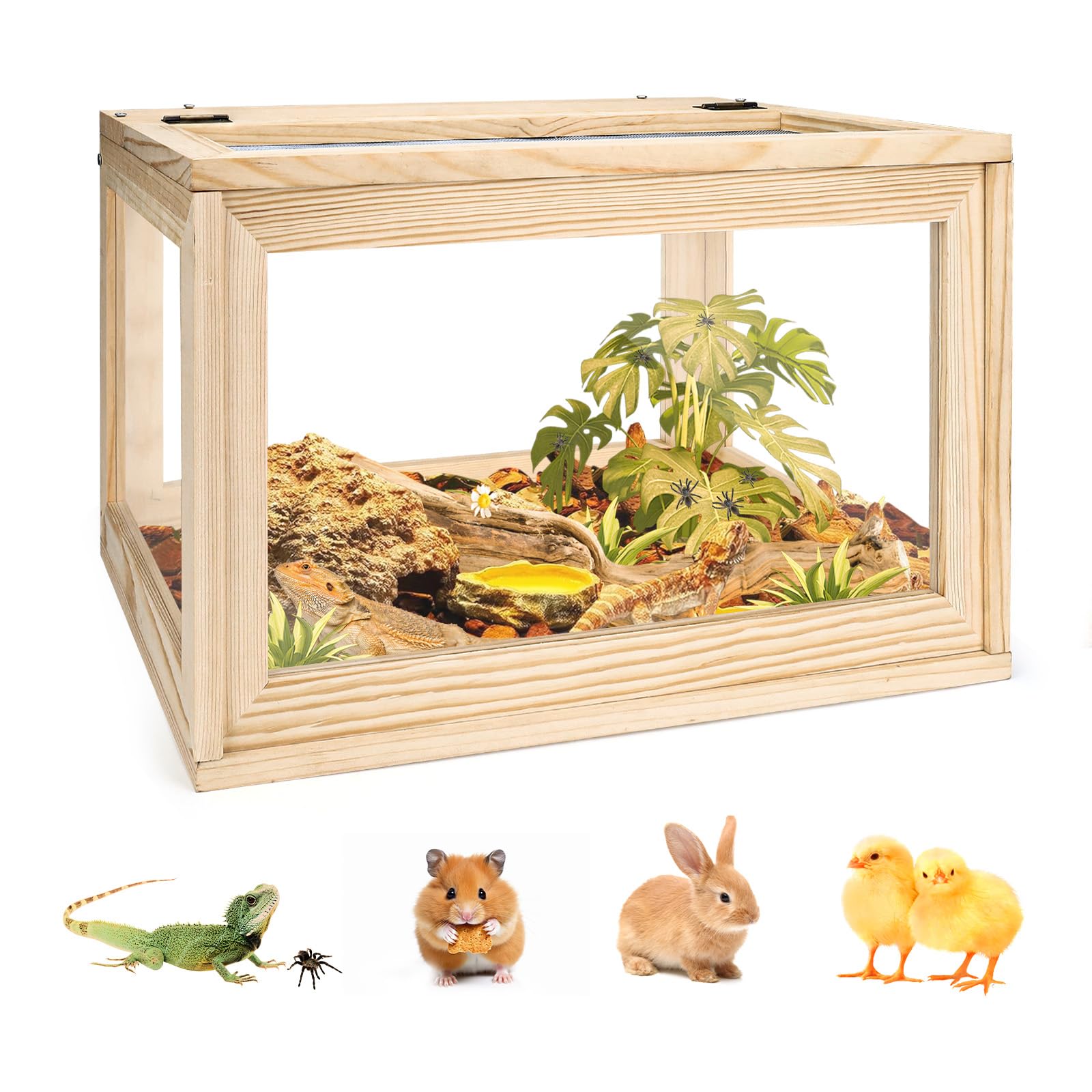 Amazon.com : Wooden Chicken Brooder Box, Reptile Enclosure with ...
