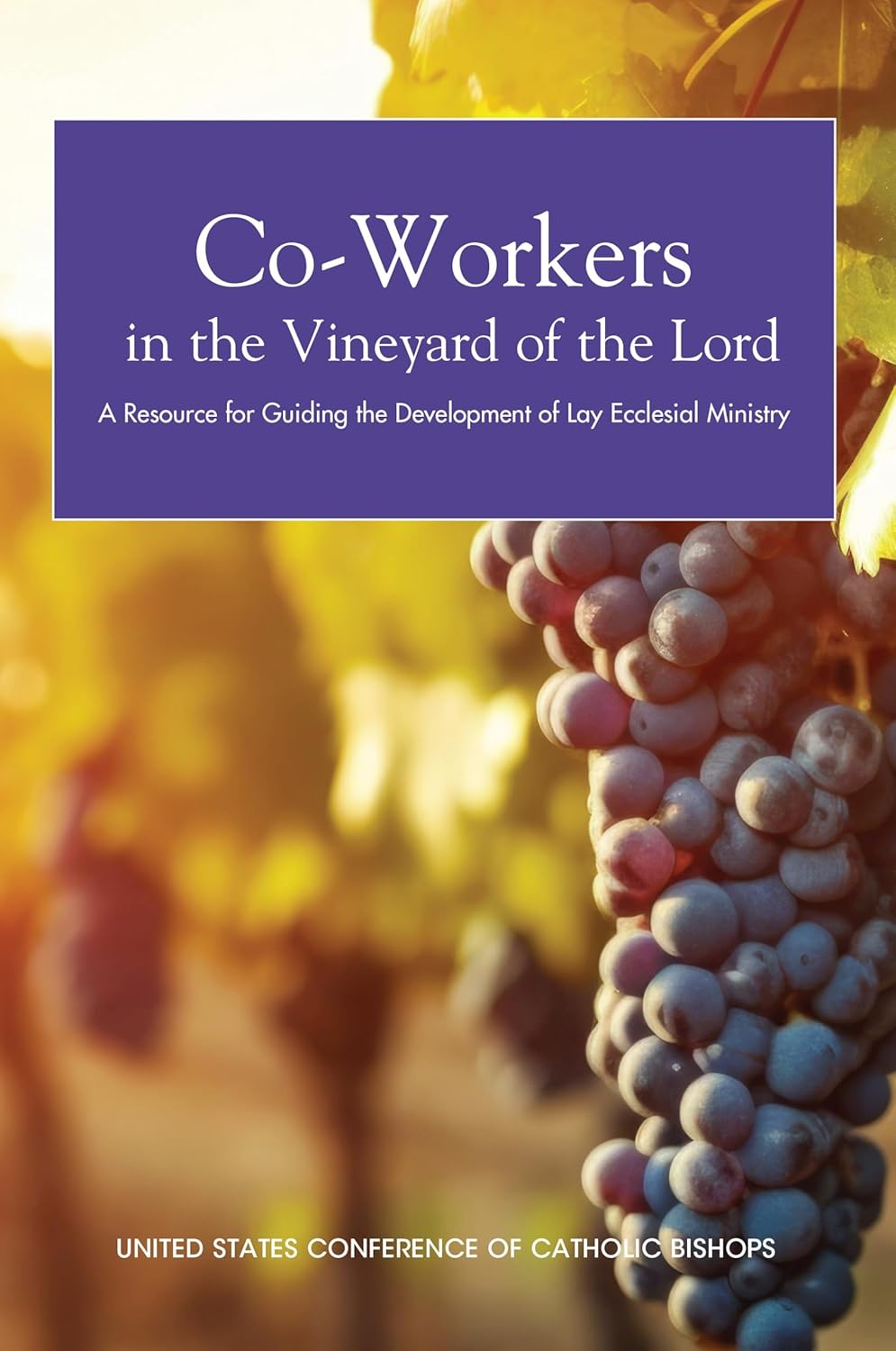 Co-Workers in the Vineyard of the Lord: A Resource for Guiding the ...