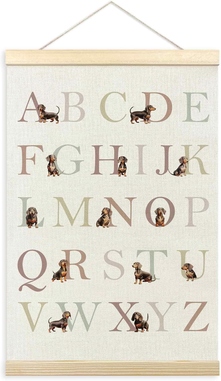Amazon.com: TLESKE Dachshund Alphabet ABC Chart Poster Hanger Frame ...
