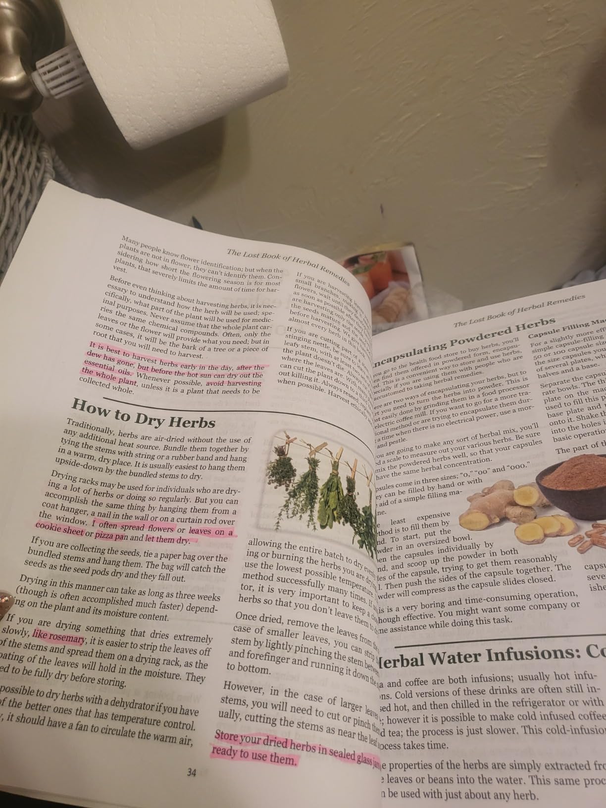 The Lost Book of Herbal Remedies