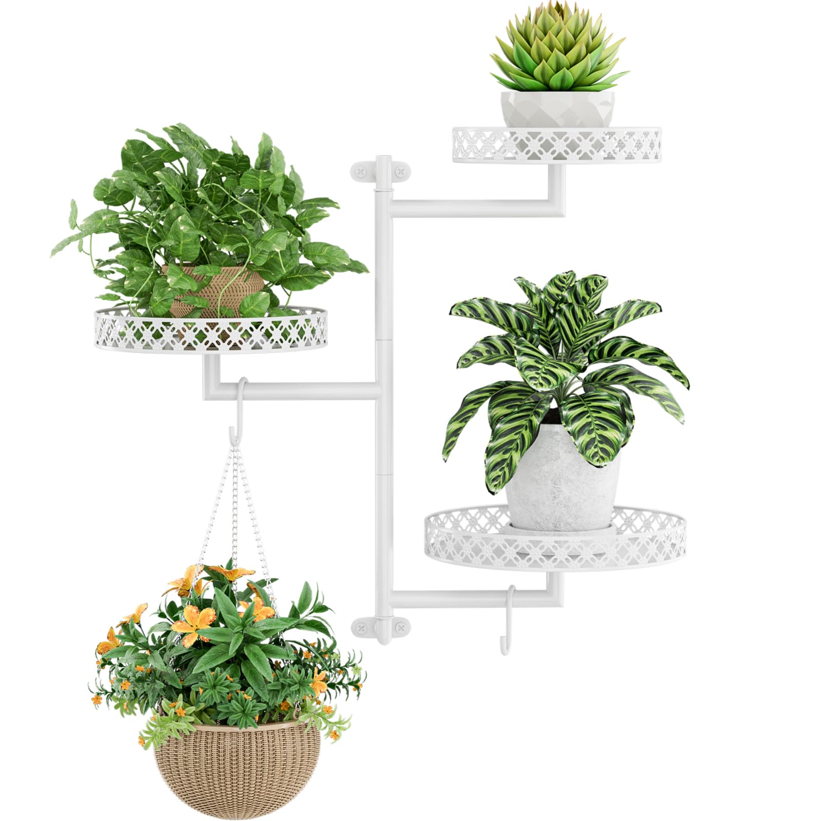 Amazon.com : OVICAR Rotating Window Plant Shelves - Indoor Wall Plant ...
