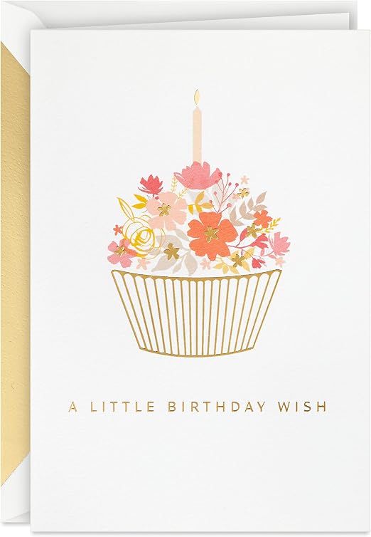 Amazon.com : Hallmark Signature Pack of 4 Birthday Cards (Birthday Wish ...