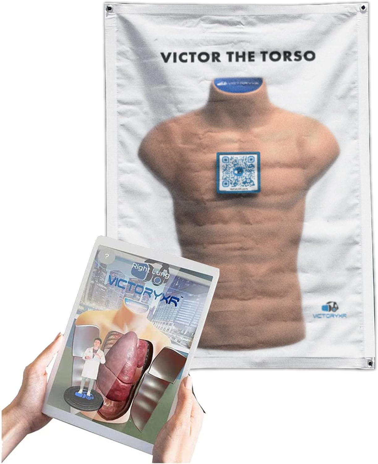 Amazon.com: VictoryXR Victor The Torso: STEM 4d Human Anatomy Augmented ...