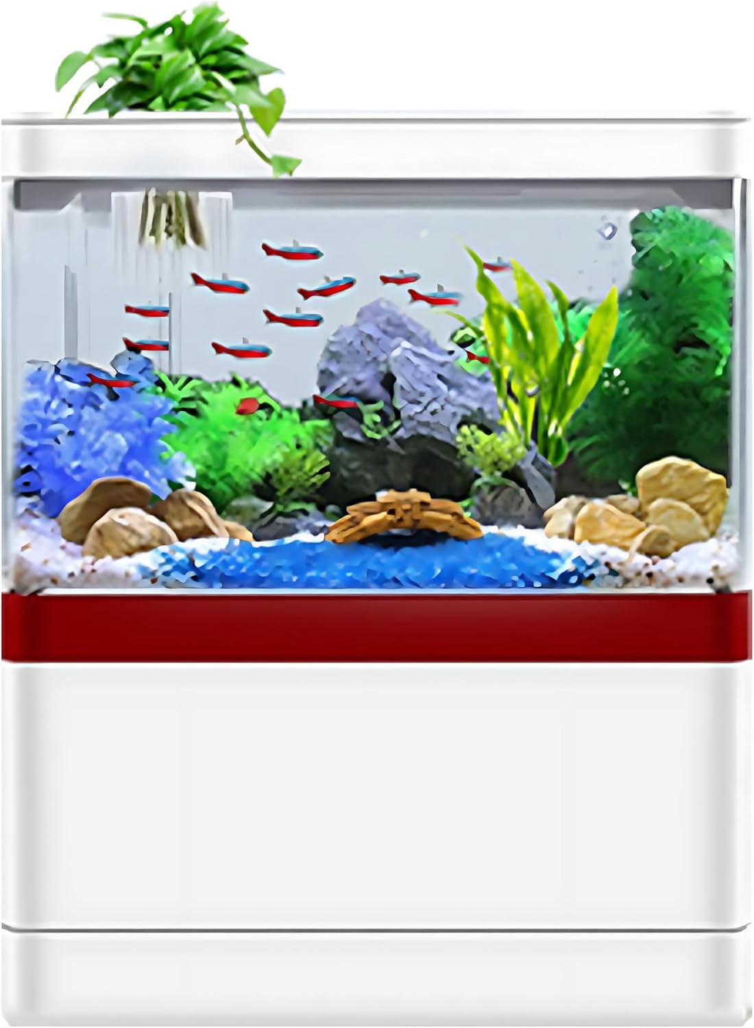 Aquarium Fish Tank Mini Desktop Tank Bowl Small Goldfish Starter Kit ...