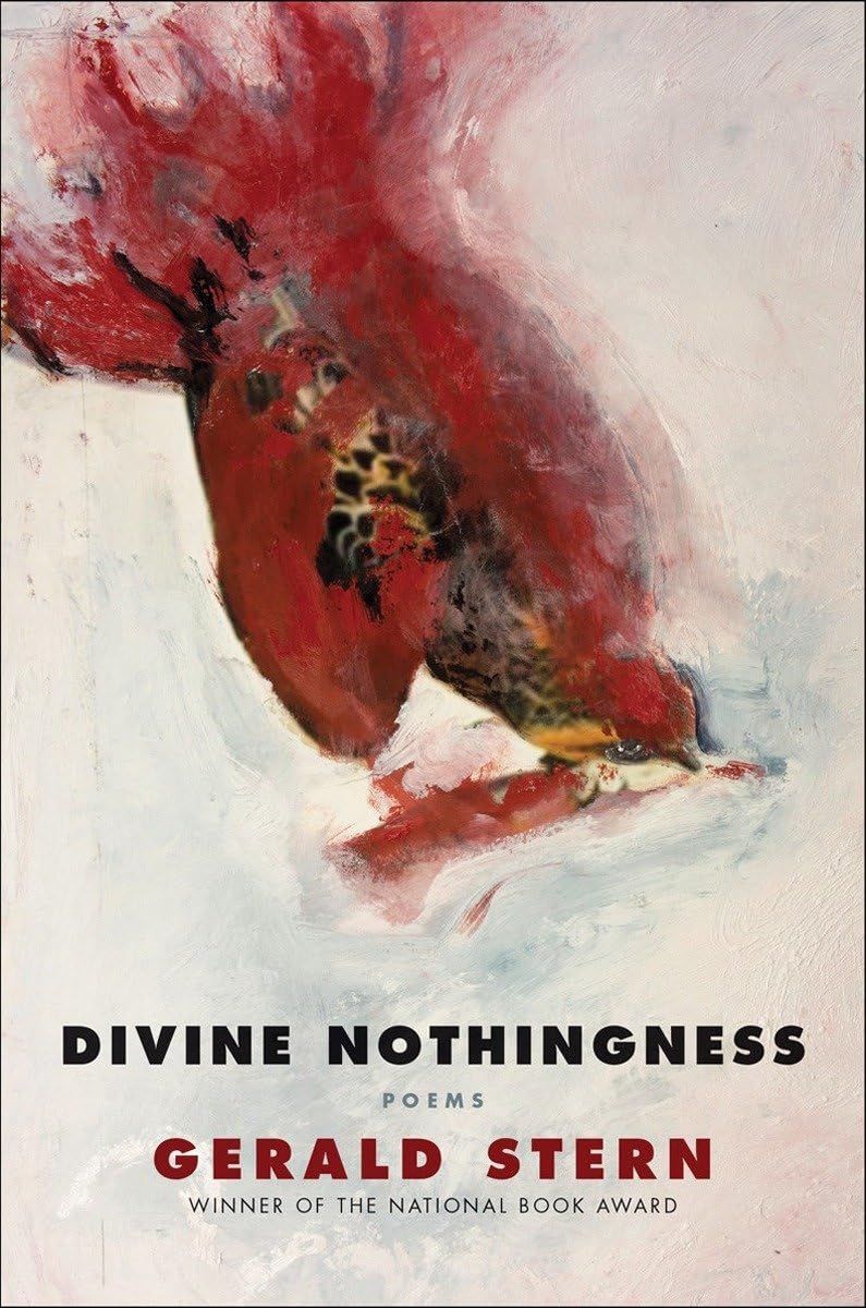 Divine Nothingness: Poems: Stern, Gerald: 9780393243505: Amazon.com: Books