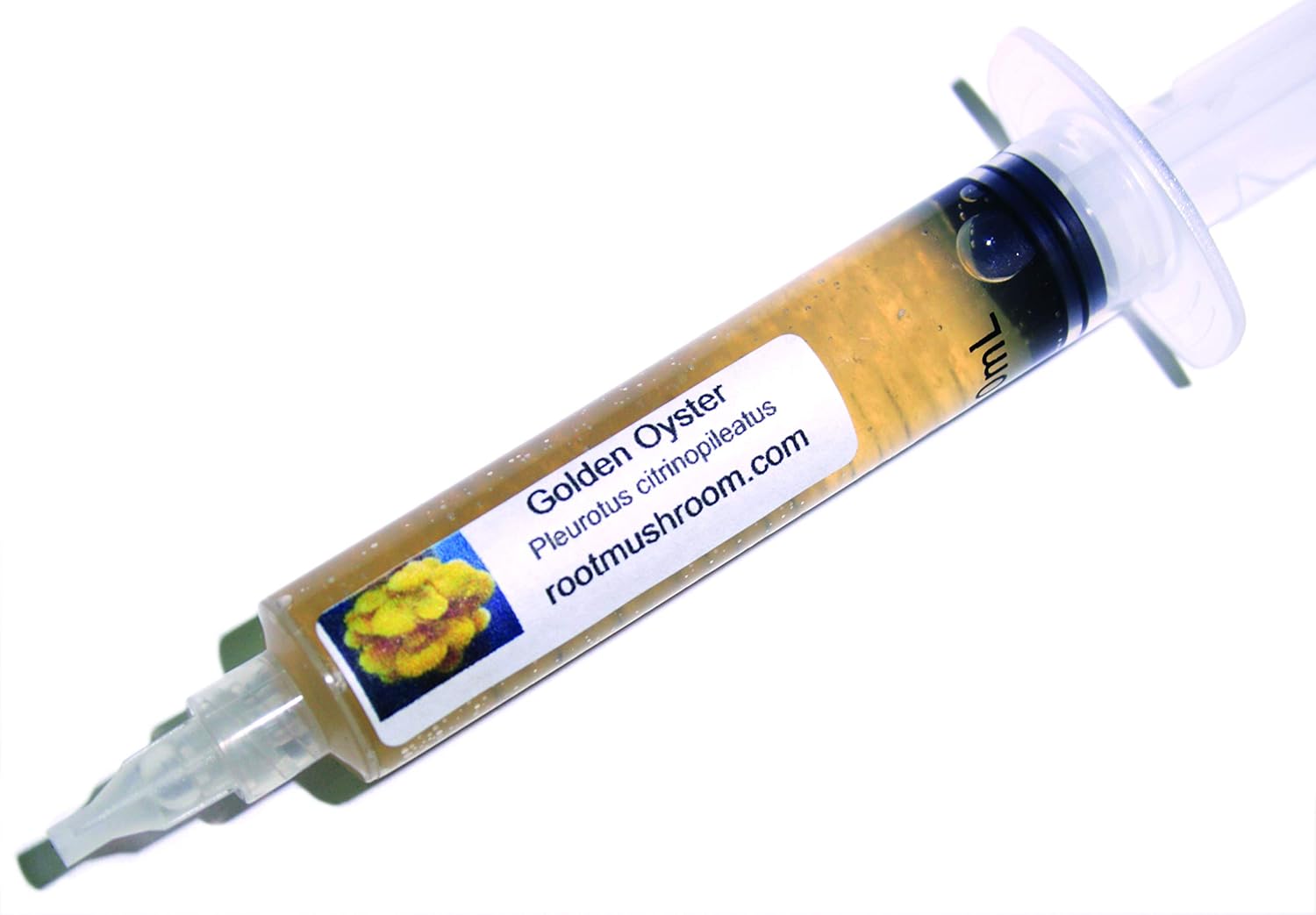 Amazon.com: Root Mushroom Farm- 30 Mushroom Liquid Cultures /Golden ...