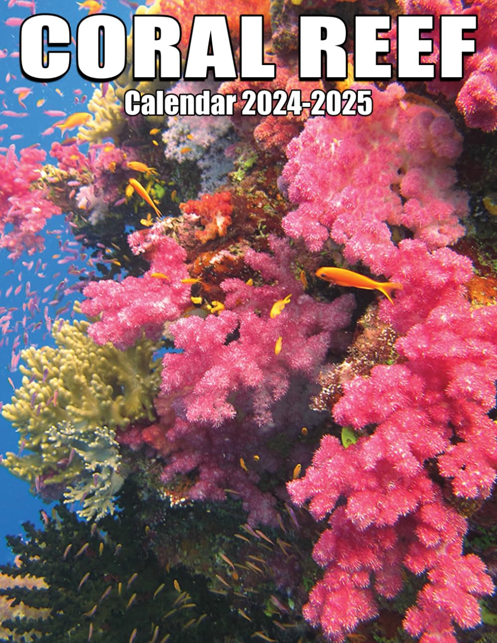 Coral Reef Calendar 2024 – 2025: 24-Month Calendar Covering Jan 2024 to ...